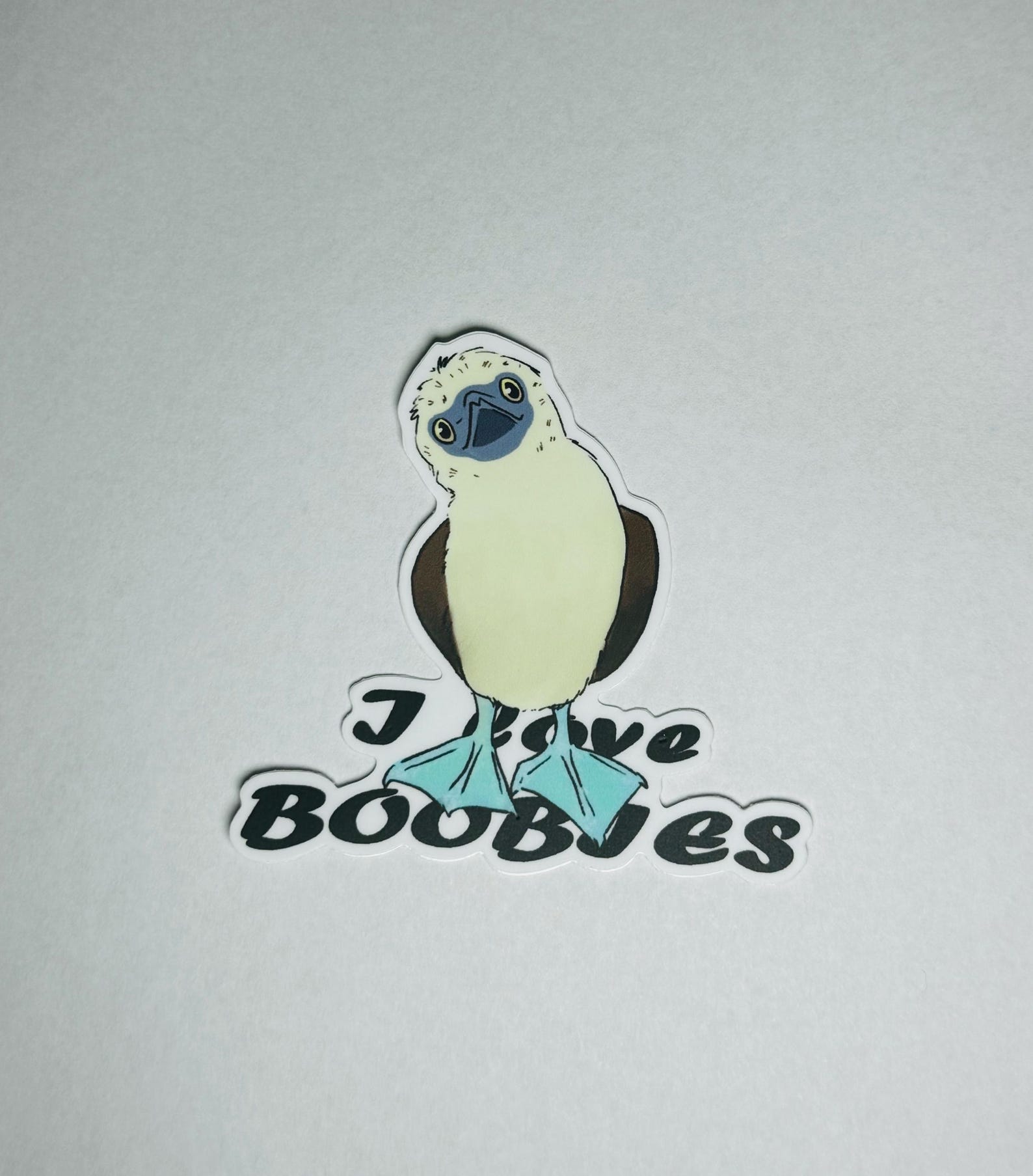 Blue Footed Boobie Funny Sticker - Etsy