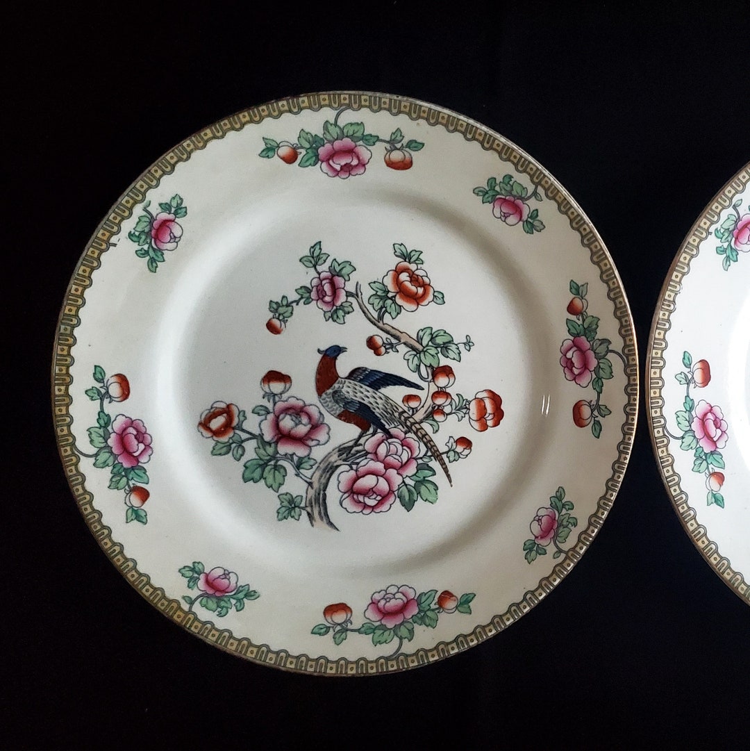 Elegant Set of 2 Pheasant Patterned Plates Vintage F. Winkle & Co ...