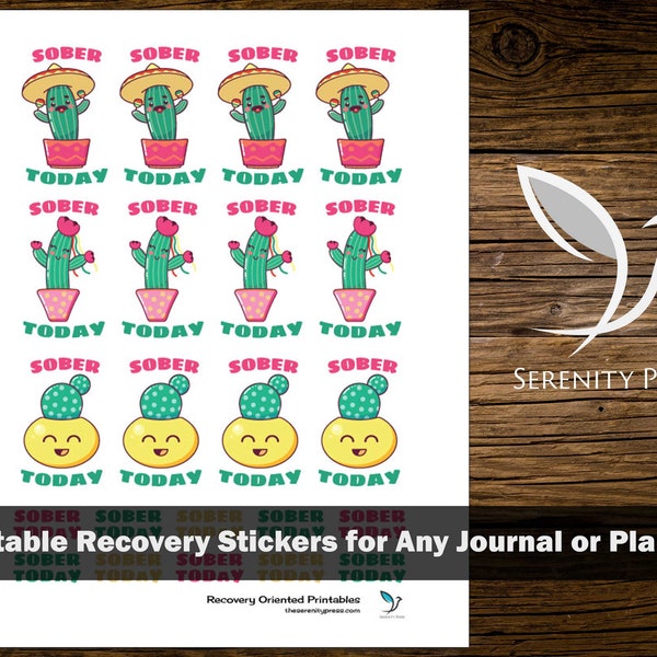 12 Step Recovery - Etsy