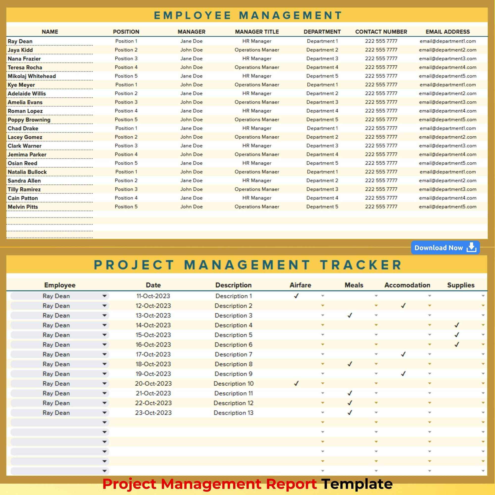 Project Management Report Template, Google Sheets Editable Tool, Task ...