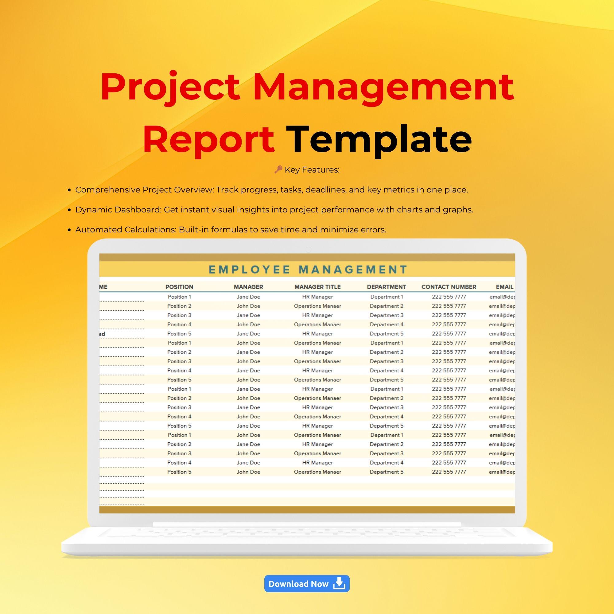 Project Management Report Template, Google Sheets Editable Tool, Task ...