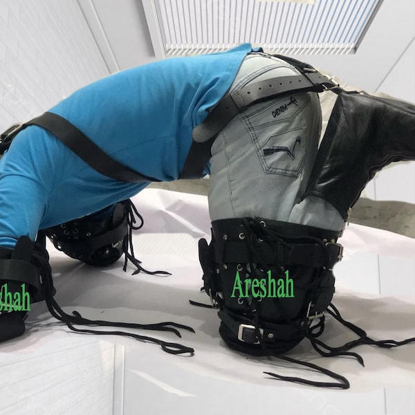 Bitchsuit Pet Crawler - Etsy