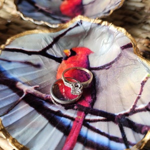 Cardinal Shell Trinket Dish Gift Idea Decoupage Wedding Gift Home Beach ...