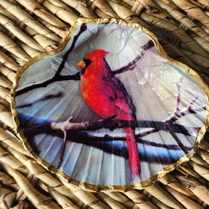 Cardinal Shell Trinket Dish Gift Idea Decoupage Wedding Gift Home Beach ...