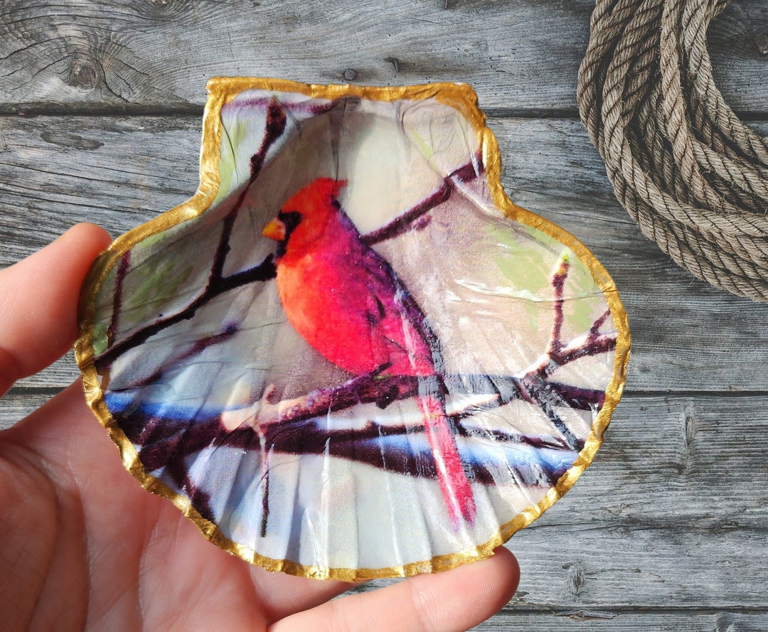 Cardinal Shell Trinket Dish Gift Idea Decoupage Wedding Gift Home Beach ...