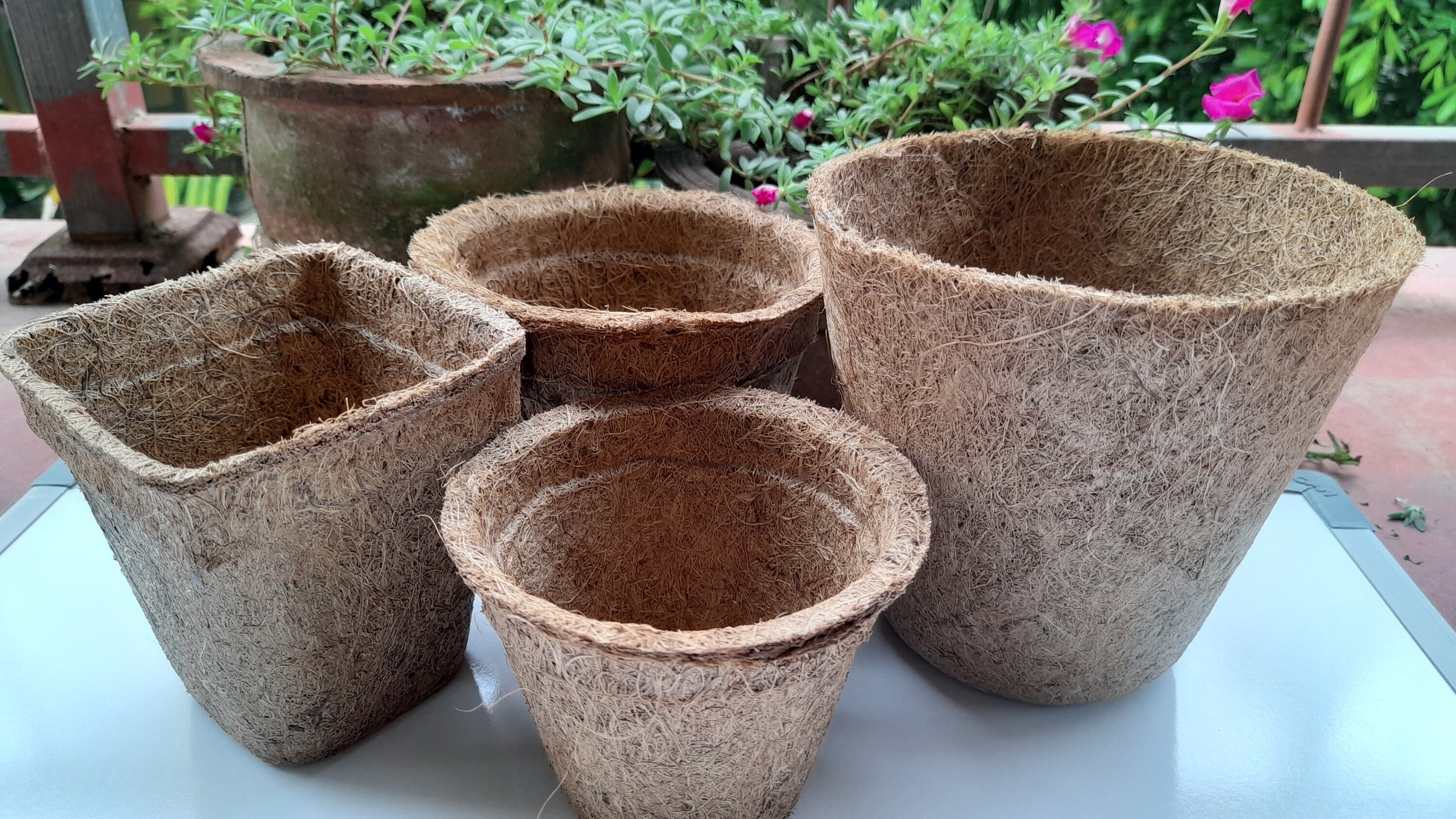 Organic Coco Coir Pots, Non Plastic, Planter Pots, 9cm, 10cm, 12cm ...