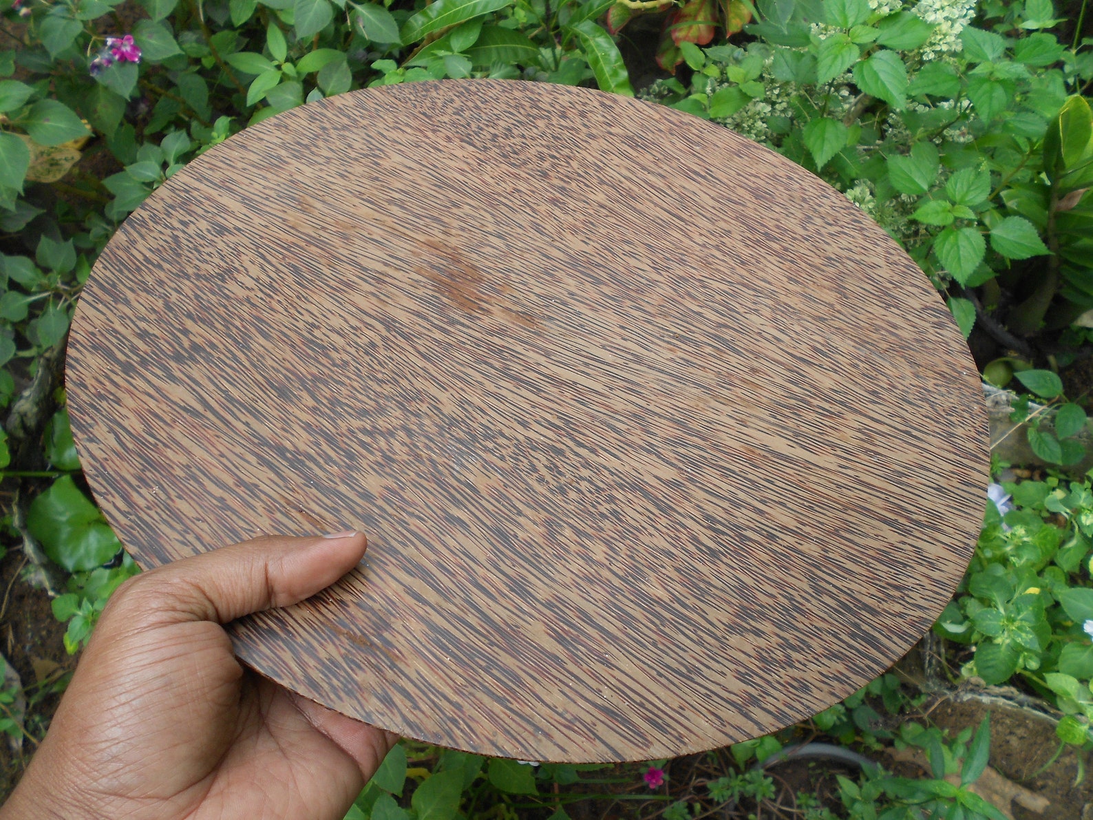 13.5 Inch Large Coconut Plate Handmade Natural - Etsy