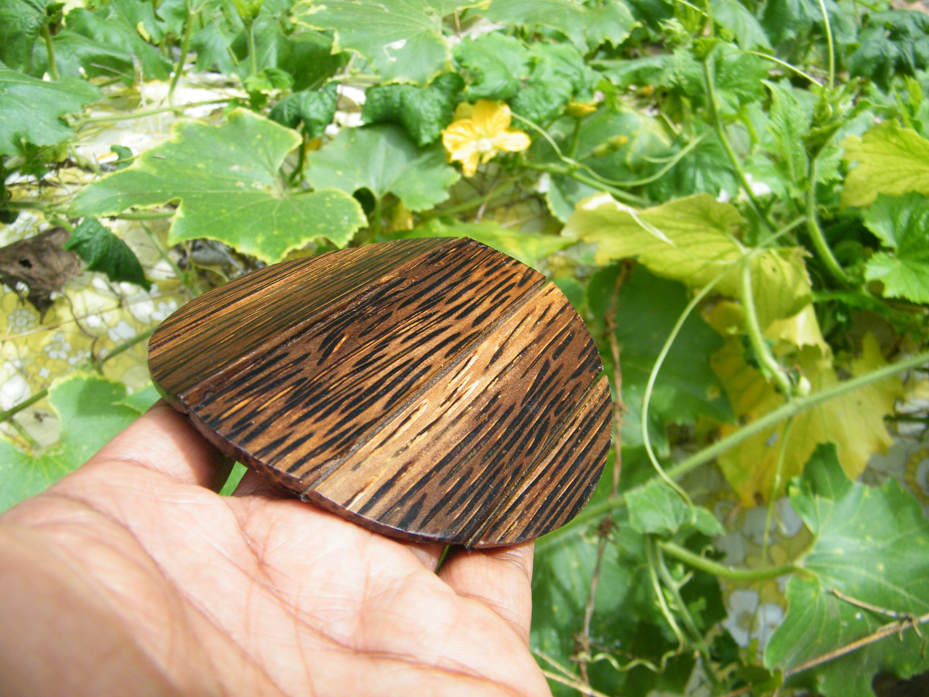 10 Cm Coconut Coaster Flexible Natural - Etsy