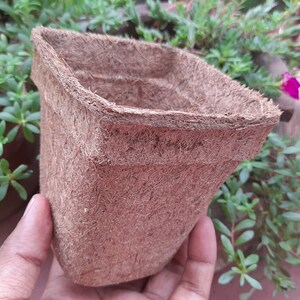 Organic Coco Coir Pots, Non Plastic, Planter Pots, 9cm, 10cm, 12cm ...