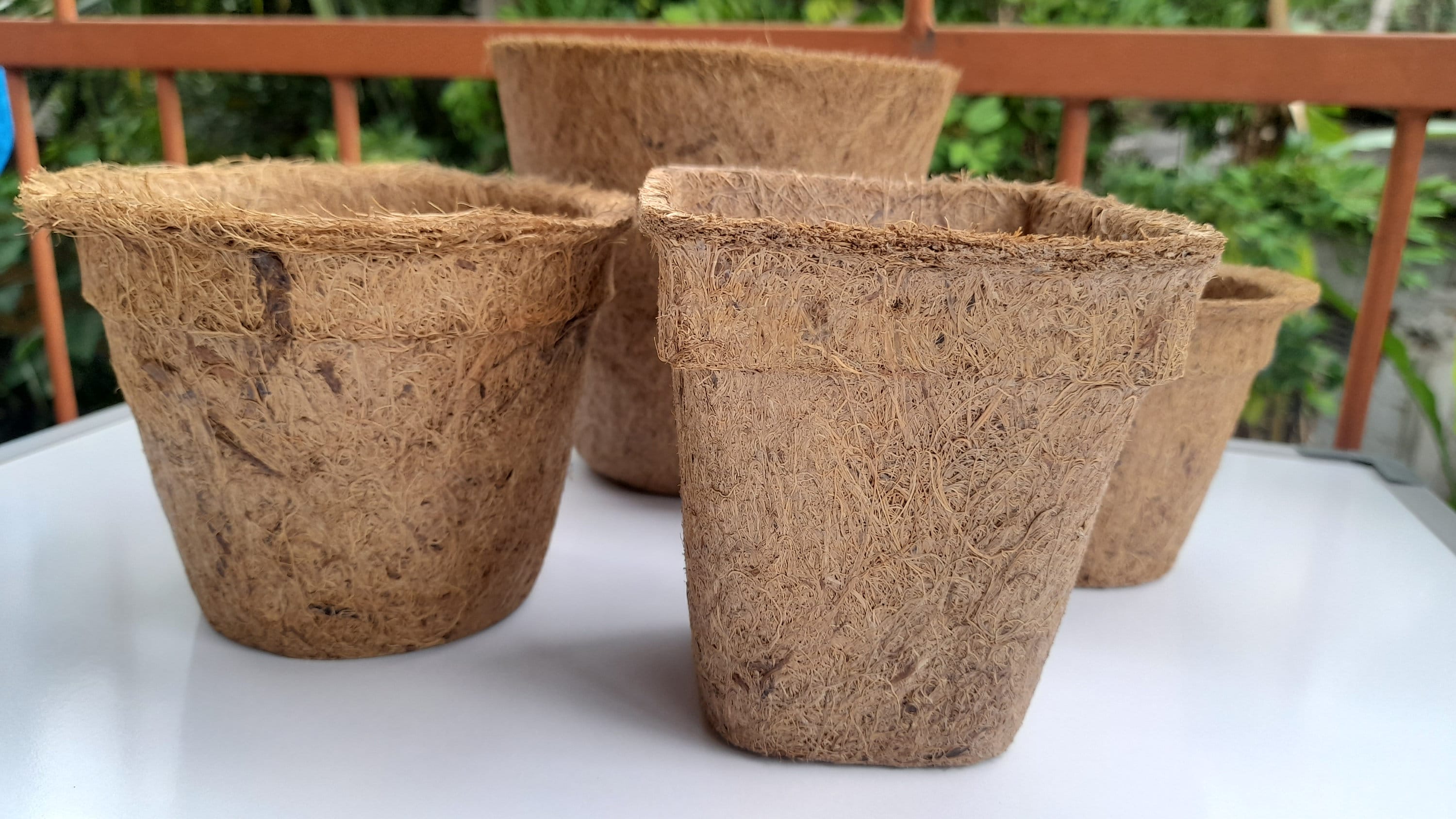 Organic Coco Coir Pots, Non Plastic, Planter Pots, 9cm, 10cm, 12cm ...