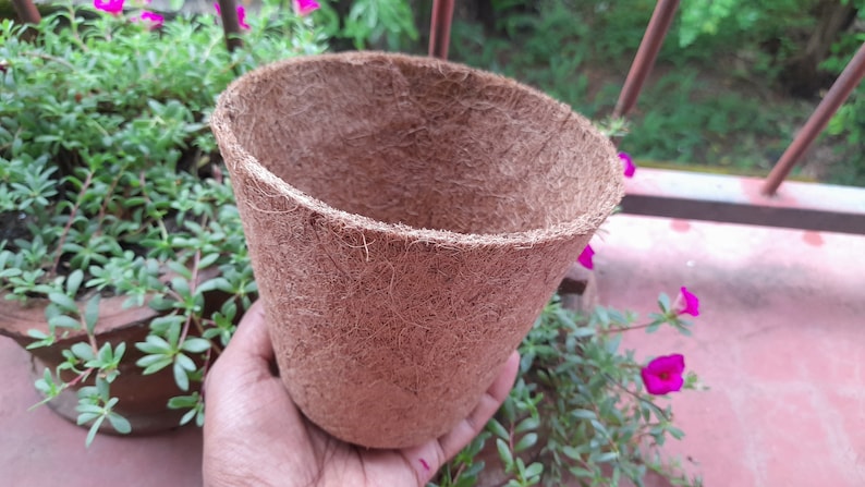 Organic Coco Coir Pots, Non Plastic, Planter Pots, 9cm, 10cm, 12cm ...