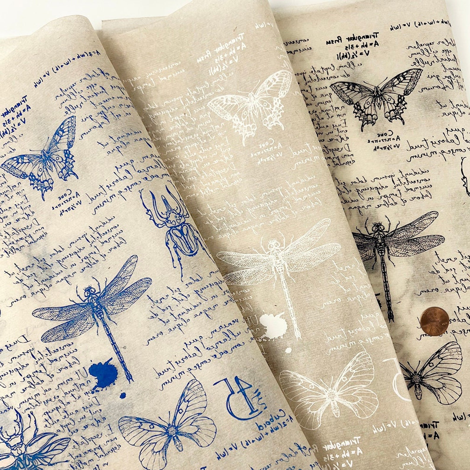 Underglaze Transfer, Ceramic Decal - Bugs in Script - Etsy