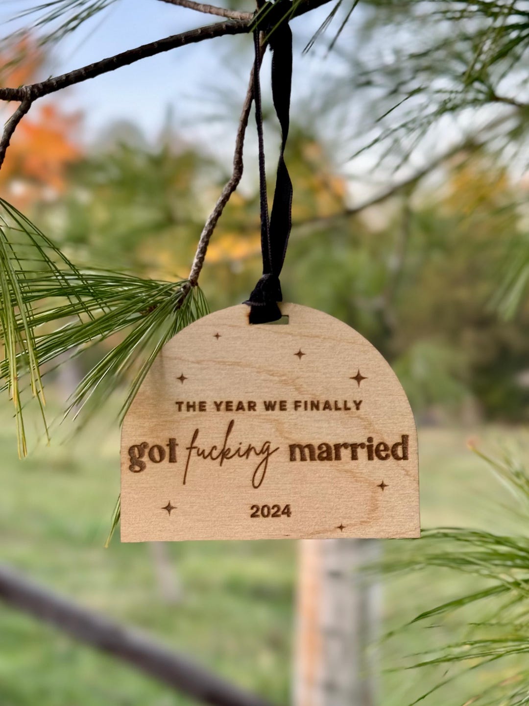 The Year We Finally Got F***ing Married Ornament | Mr. and Mrs. | Our ...