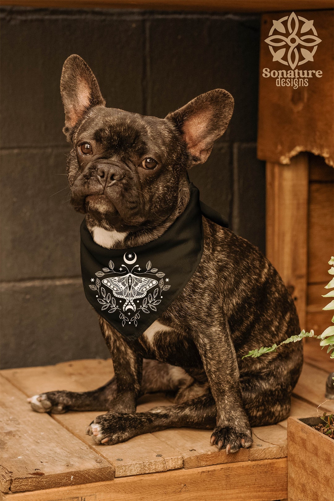 Celestial Moth Dog Scarf Luna Moth Dog Bandana Boho Moth Dog - Etsy