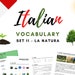 ITALIAN Indefinite Article Grammar Worksheets Articoli - Etsy