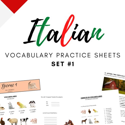 Italian Language Verb Conjugation Practice Worksheets | Etsy