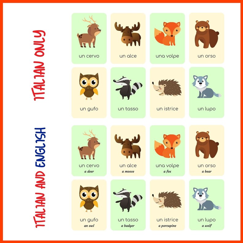 Italian Forest Theme Flashcards for Kids - Italian Vocabulary Practice ...
