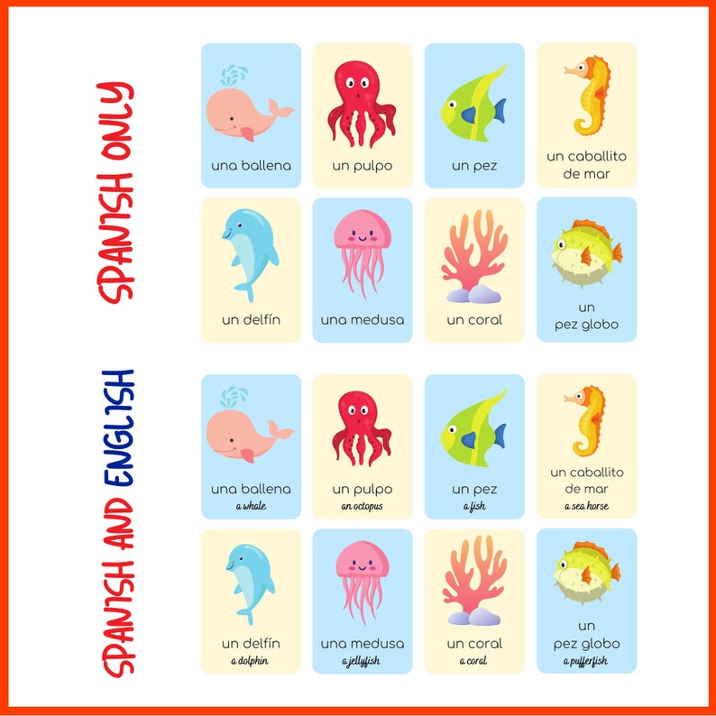 Spanish Ocean Theme Flashcards for Kids - Spanish Vocabulary Practice ...