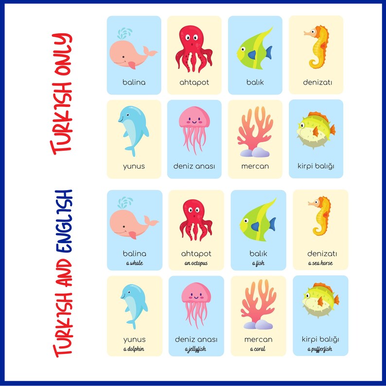 Turkish Ocean Theme Flashcards for Kids - Turkish Vocabulary Practice ...