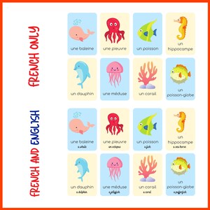 French Ocean Theme Flashcards for Kids French Vocabulary | Etsy