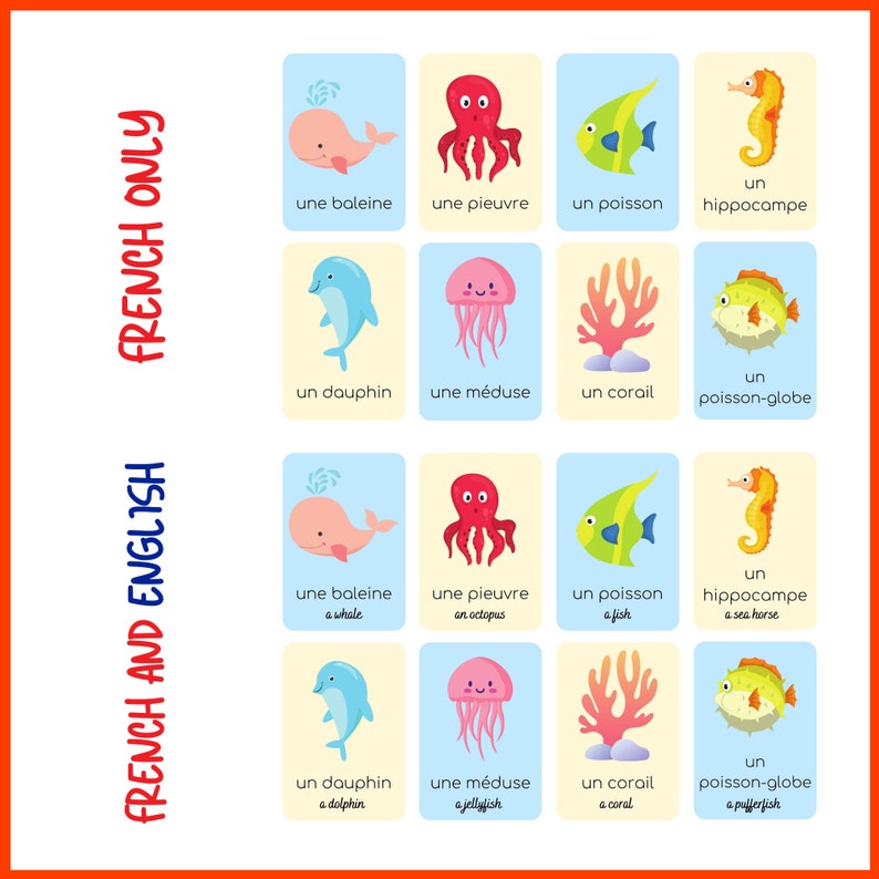French Ocean Theme Flashcards for Kids - French Vocabulary Practice for ...