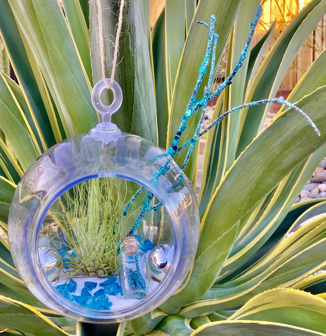 Ocean Terrarium DIY Terrarium Kit Air Plant Terrarium | Etsy