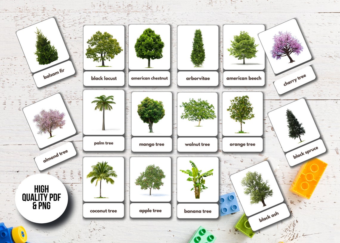 36 Trees Flashcards Printable Montessori Cards Nomenclature | Etsy