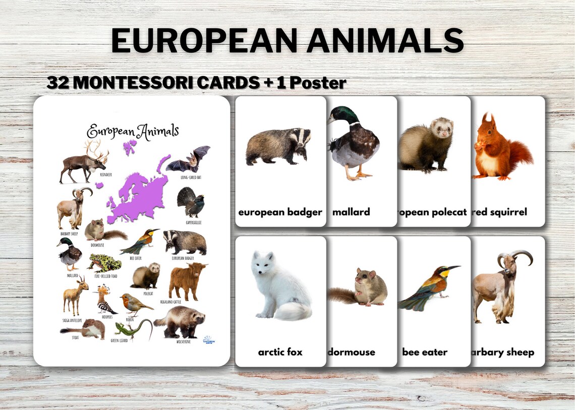 EUROPEAN ANIMALS Flashcards real Pictures Editable - Etsy India