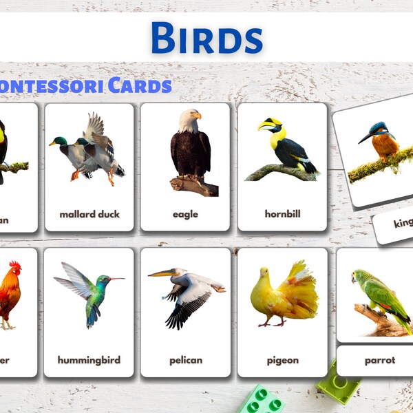 Printable Bird Pictures - Etsy