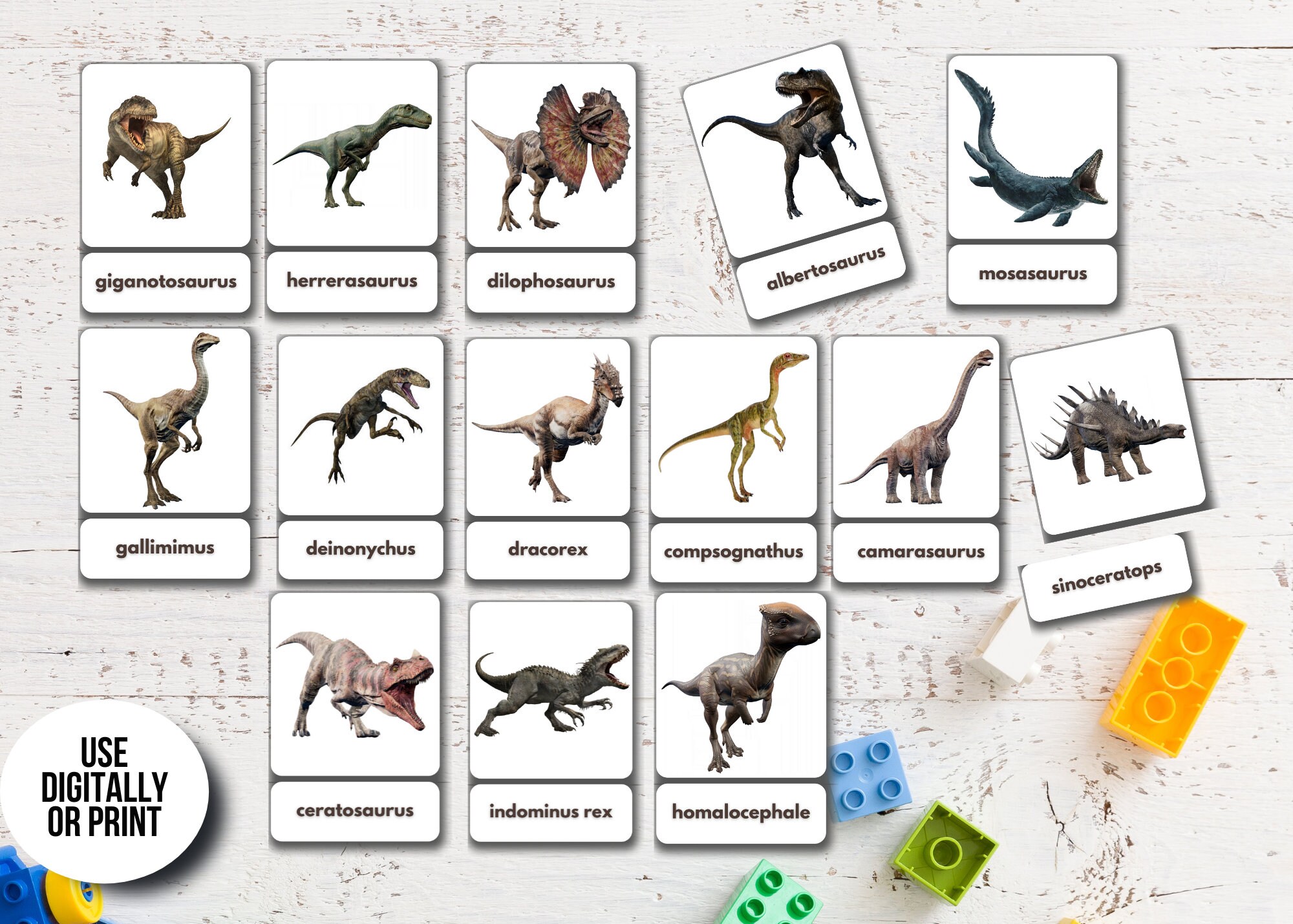 72 Dinosaurs Flashcards Printable and Editable Montessori | Etsy