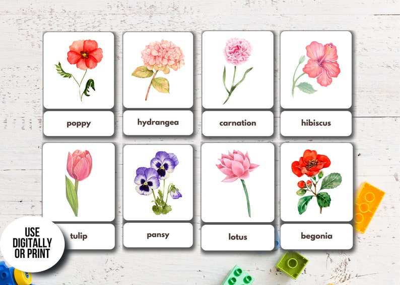 Flowers Flashcards Watercolor Printable Montessori Cards - Etsy