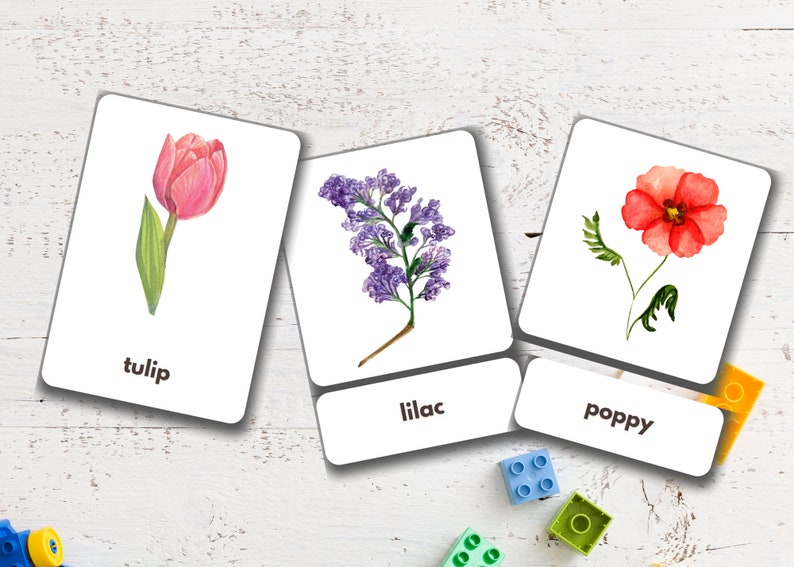 Flowers Flashcards Watercolor Printable Montessori Cards - Etsy