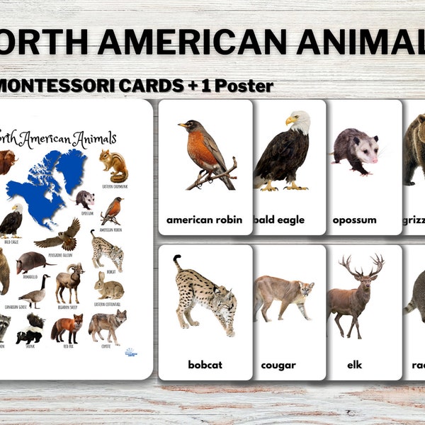 American Animals - Etsy