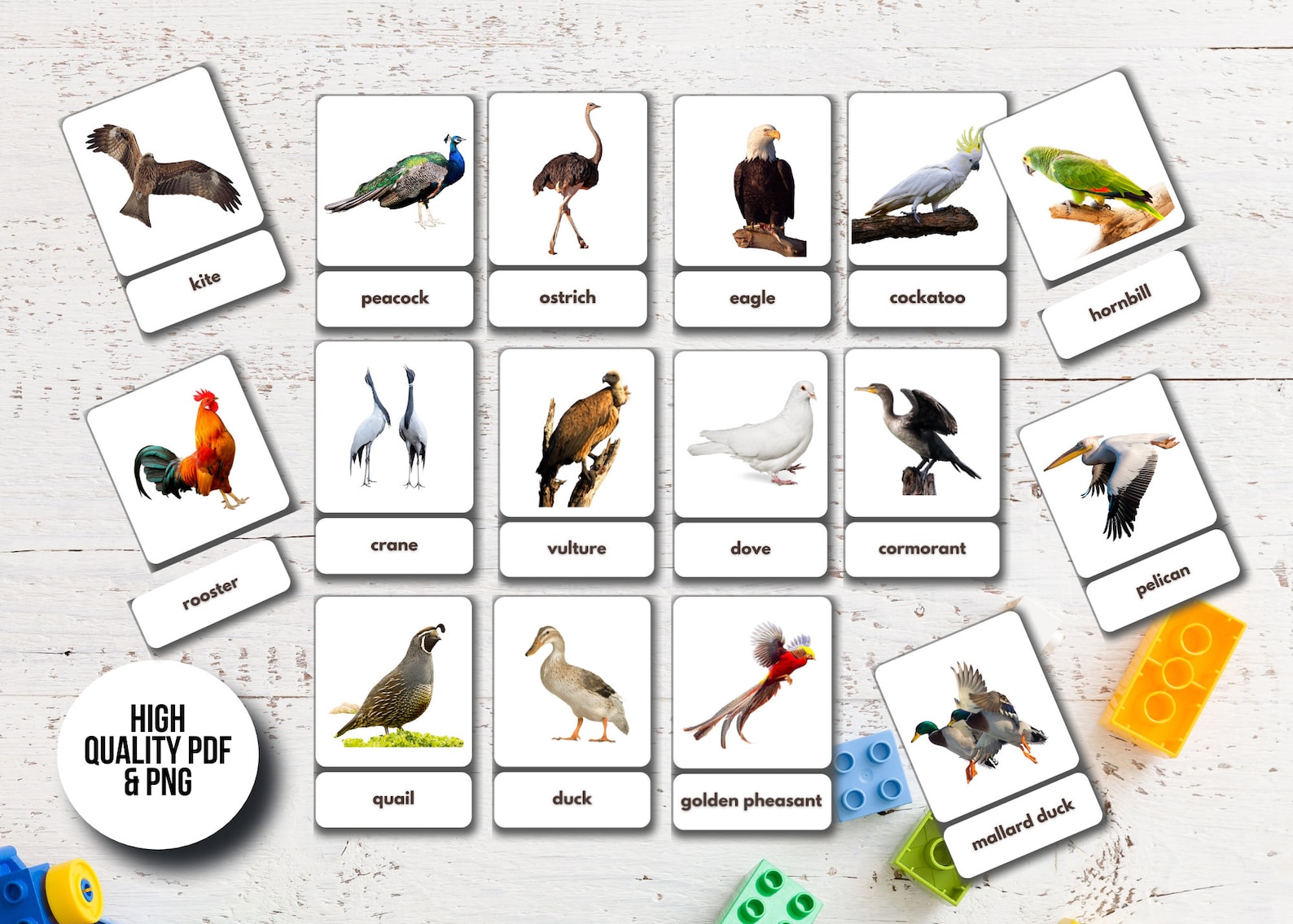 Printables Complete The Birds Flash Card Printable Pdf