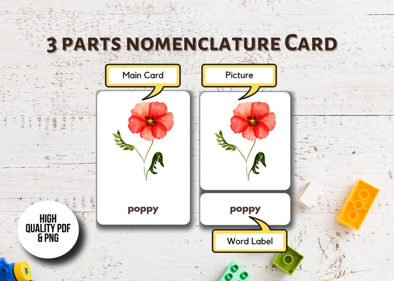 Flowers Flashcards Watercolor Printable Montessori Cards - Etsy