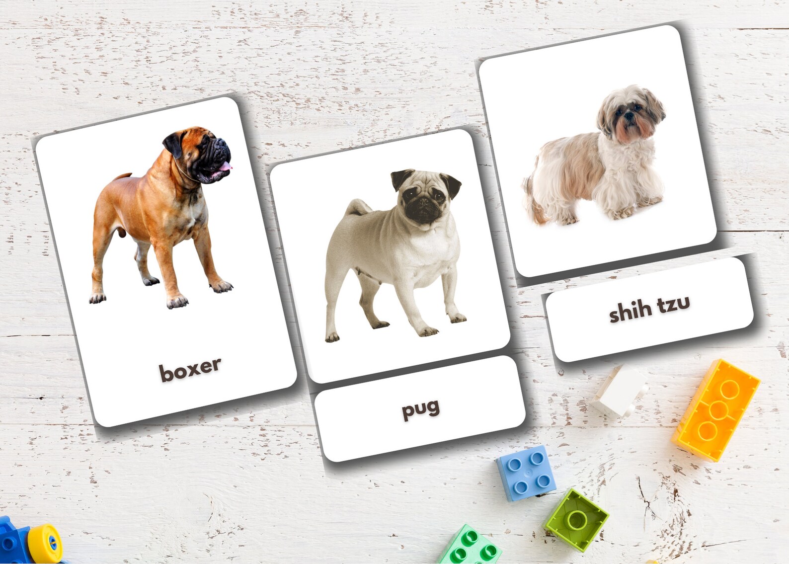 40 Dog Breeds Flashcards Printable Montessori Cards | Etsy