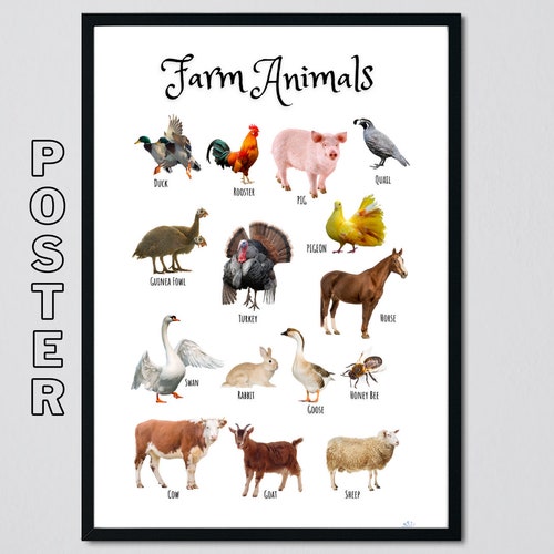 Farm Animals Poster Printable Montessori Poster Kids - Etsy India