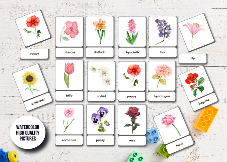 Flowers Flashcards Watercolor Printable Montessori Cards - Etsy