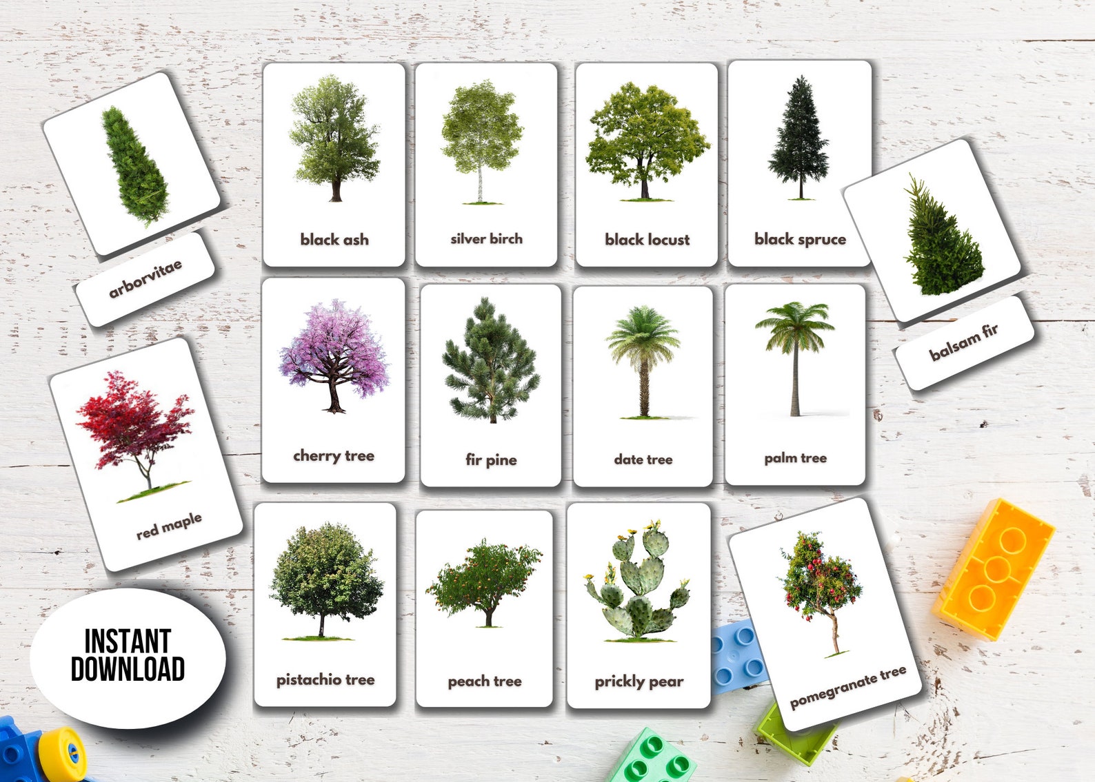 36 Trees Flashcards Printable Montessori Cards Nomenclature | Etsy