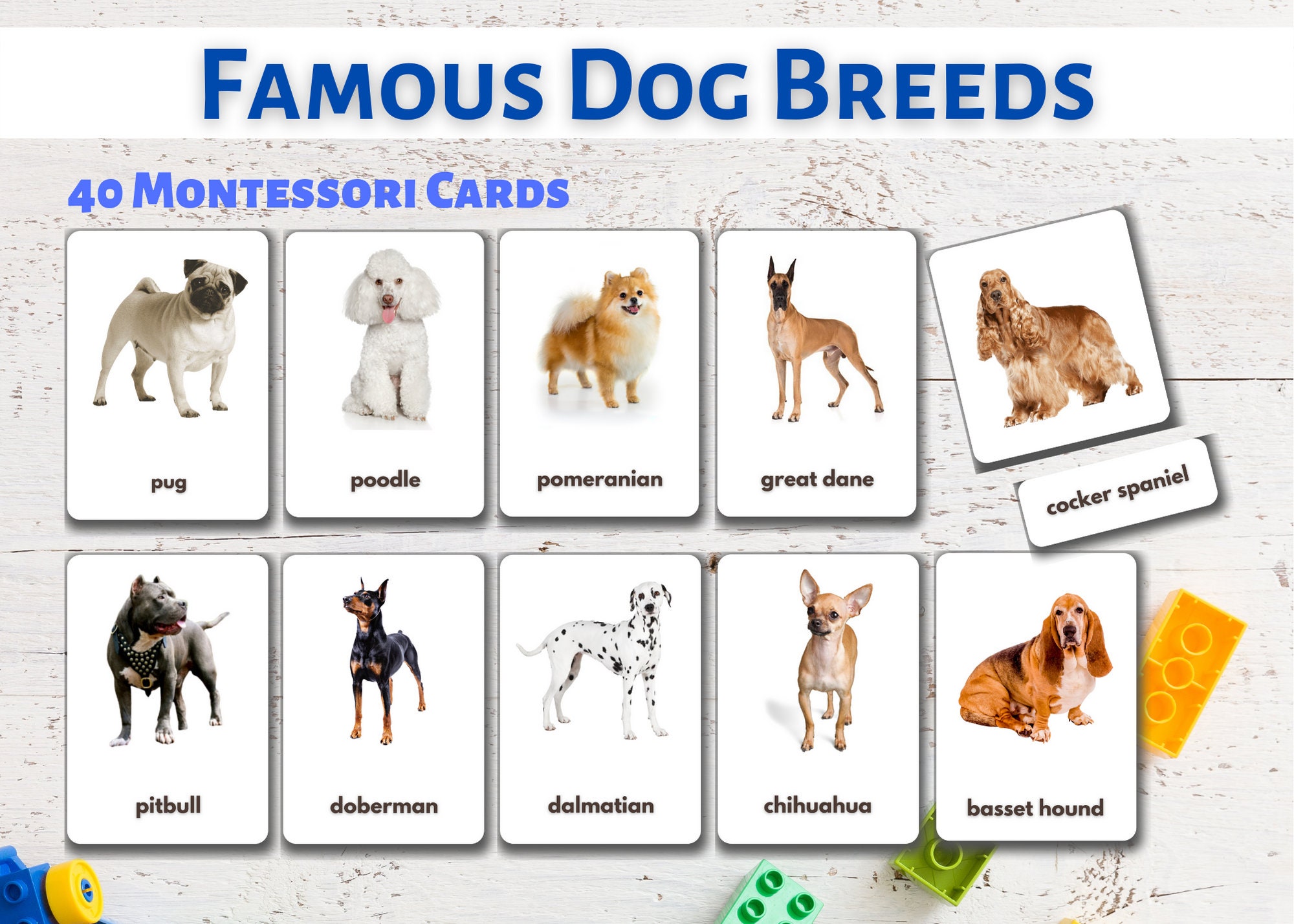 40 Dog Breeds Flashcards Printable Montessori Cards | Etsy