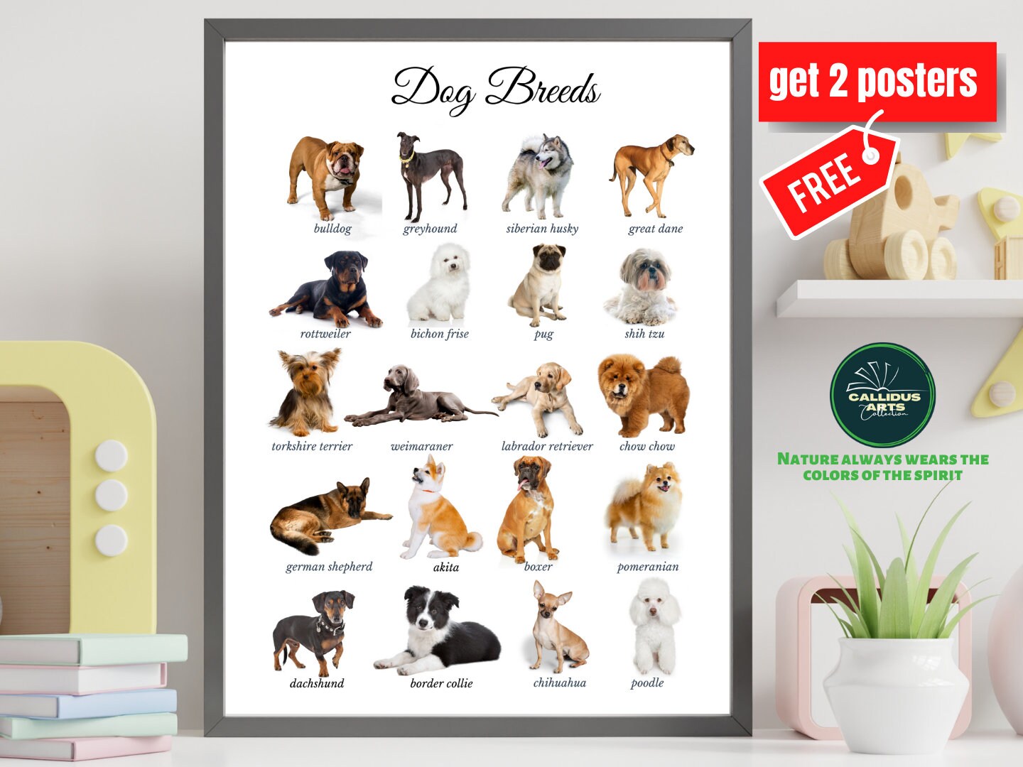 20 Dog Breeds Poster Dogs Lover School Poster Kids Nursery | Etsy