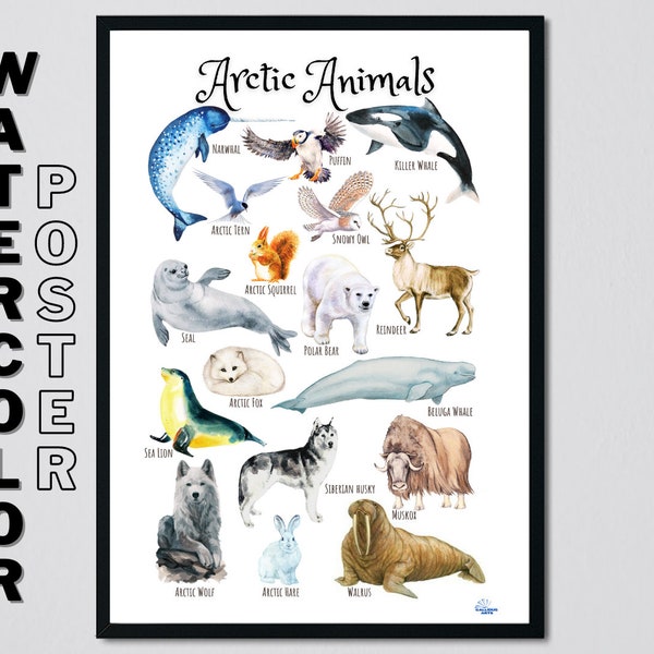 Animals Poster - Etsy