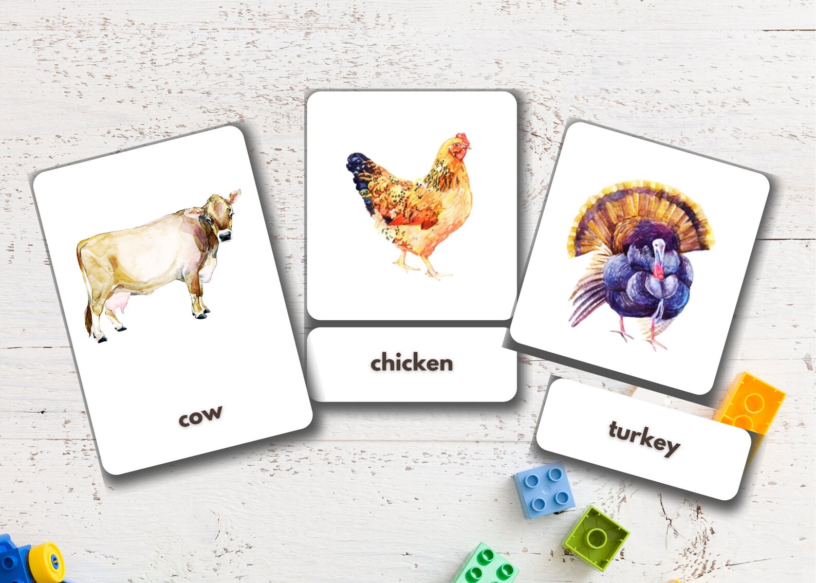 FARM ANIMALS FLASHCARDS Watercolor Images Printable - Etsy Canada