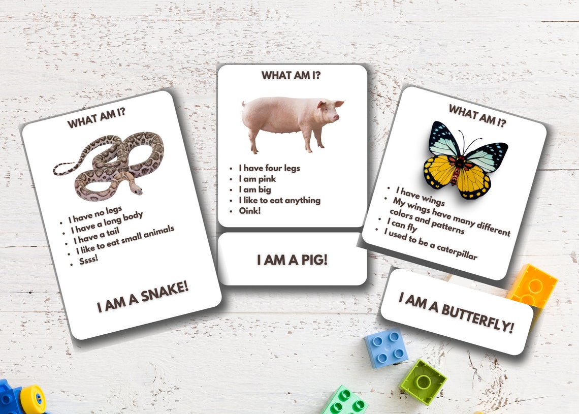 40 What Am I Flashcards Printable Montessori | Etsy