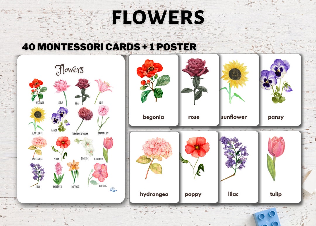Flowers Flashcards Watercolor Printable Montessori Cards - Etsy