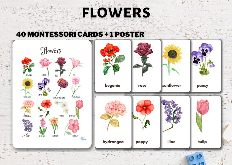 Flowers Flashcards Watercolor Printable Montessori Cards - Etsy