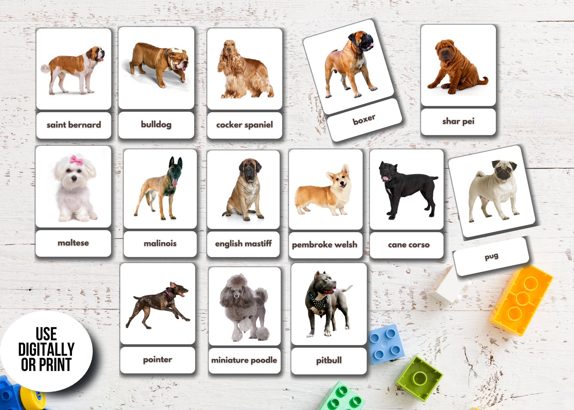 40 Dog Breeds Flashcards Printable Montessori Cards | Etsy