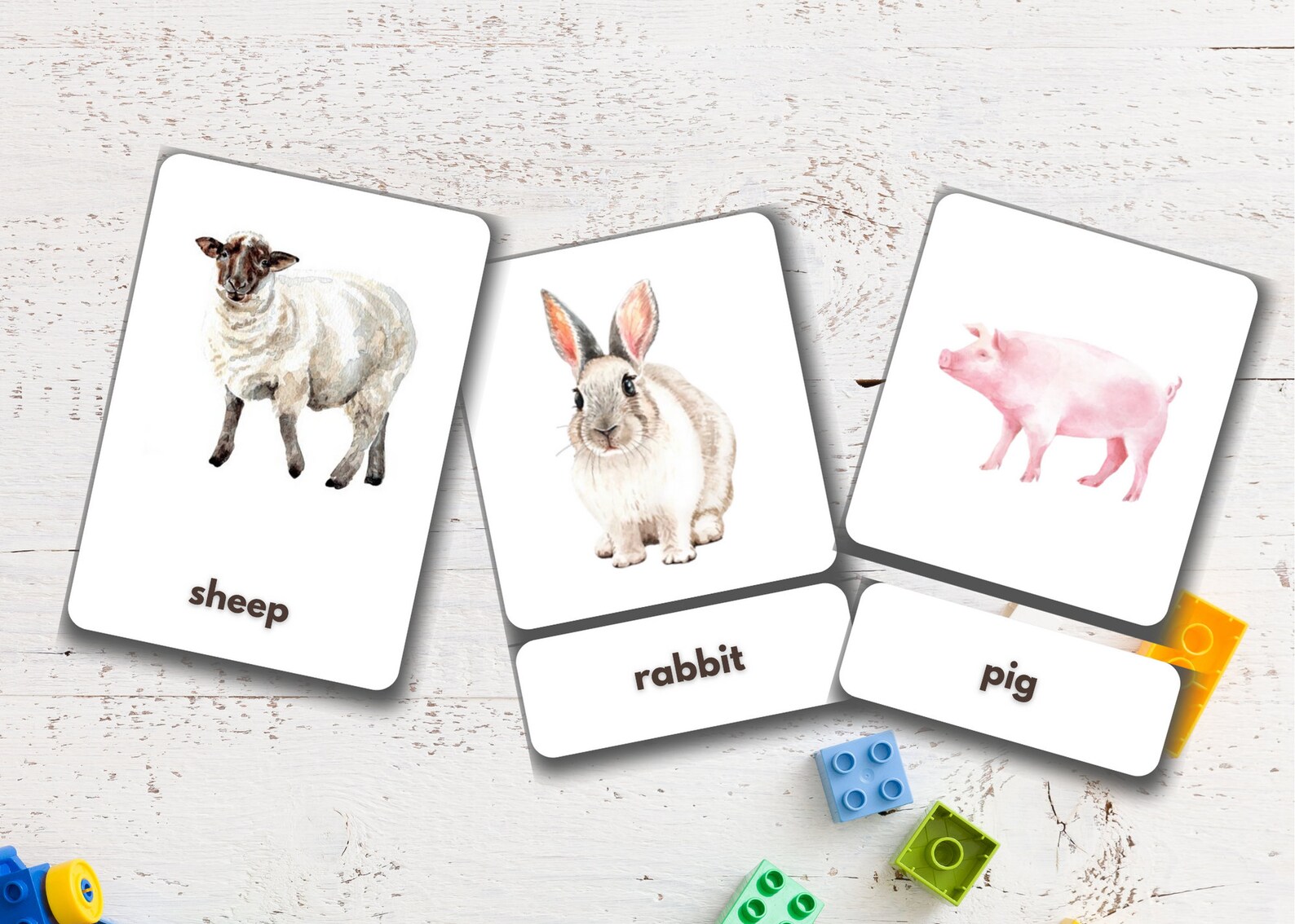 FARM ANIMALS FLASHCARDS Watercolor Images Printable - Etsy Canada