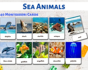 Sea Playing Cards - Etsy
