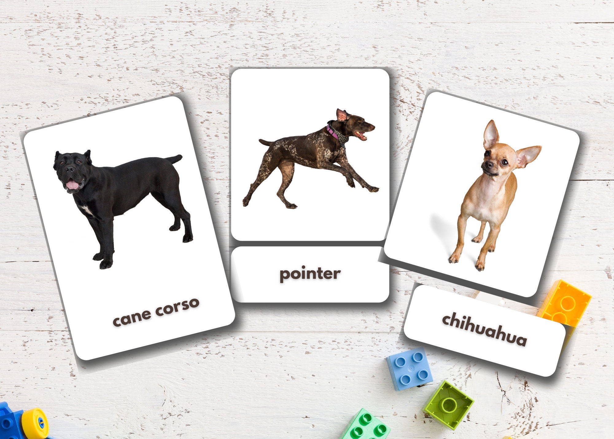 Dog Flashcards Printable - Printable Word Searches